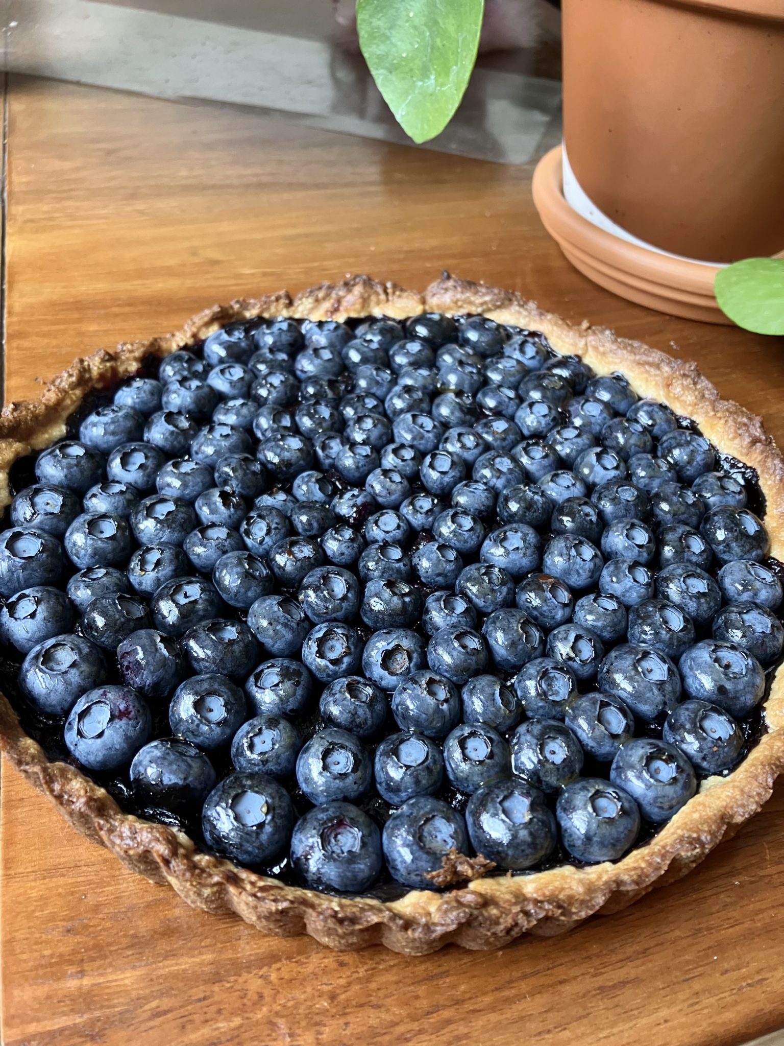 The Perfect Blueberry Tart | The Kneading Space